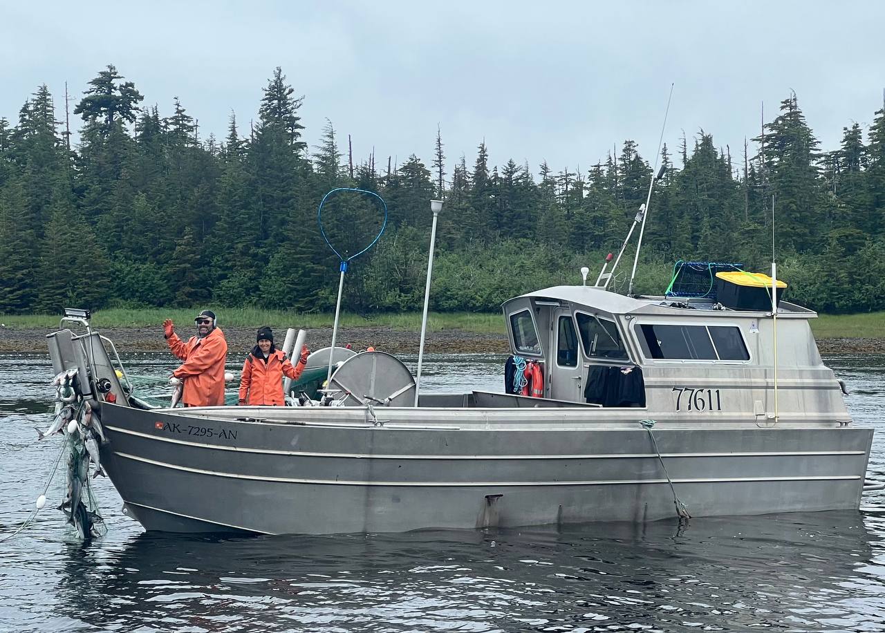 Fresh & Frozen Fish – Sleepy Bay Salmon